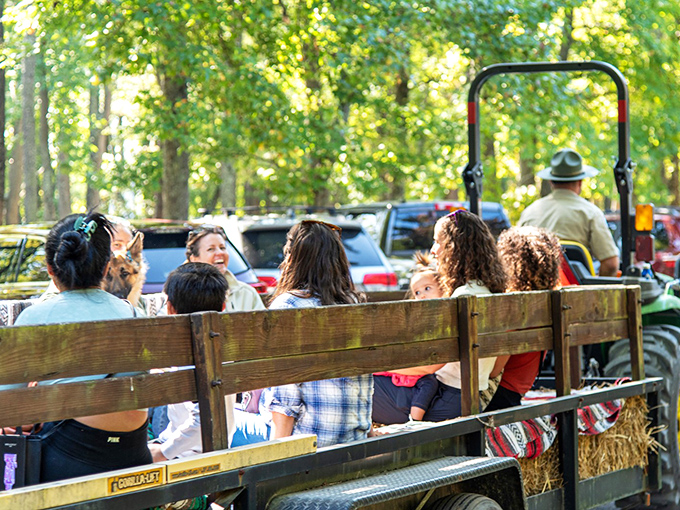 All aboard the hayride express! Nothing says "authentic outdoor experience" like bouncing along on scratchy straw with complete strangers.