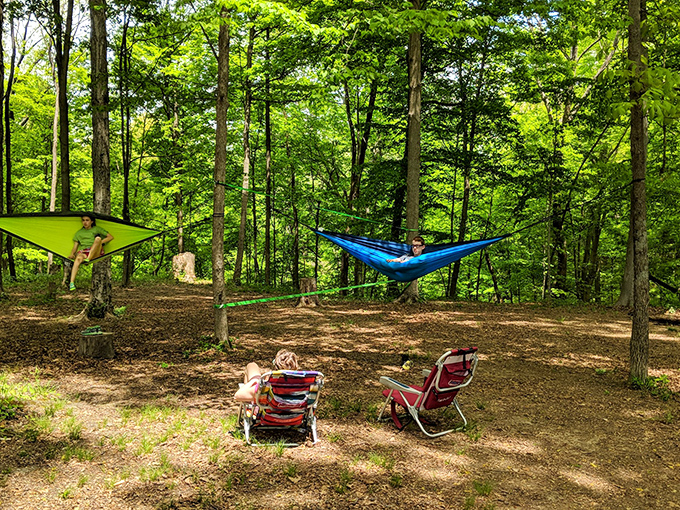 Suspended bliss! Creative visitors have discovered that hammocks strung between the park's sturdy trees create nature's perfect napping spots.