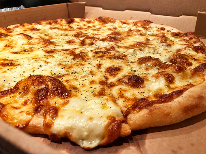 The cheese pizza achieves that perfect golden-brown constellation of bubbles that pizza aficionados dream about. Simple perfection.