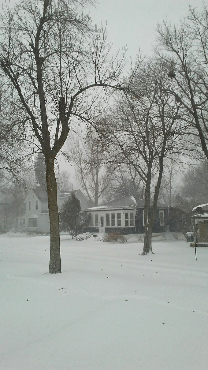 Winter in Worthington means cozy homes, snow-blanketed yards, and that special Midwestern resilience that turns harsh weather into neighborhood bonding.