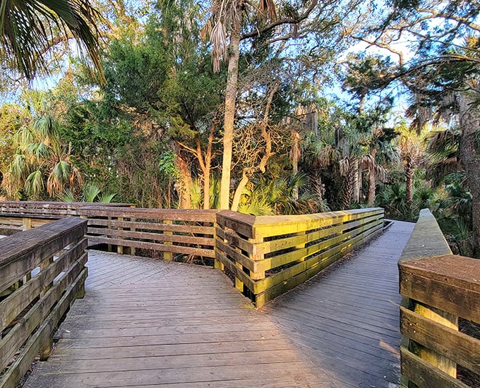 Nature's red carpet treatment. This wooden boardwalk whispers promises of coastal treasures while protecting the delicate ecosystem beneath your feet.