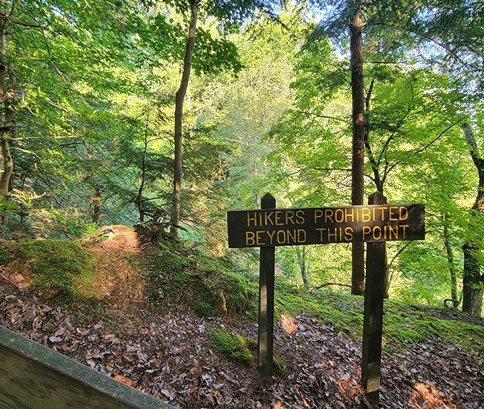 "Hikers Prohibited" &ndash; nature's way of saying some views are best admired from a distance. The forbidden path always looks more intriguing.