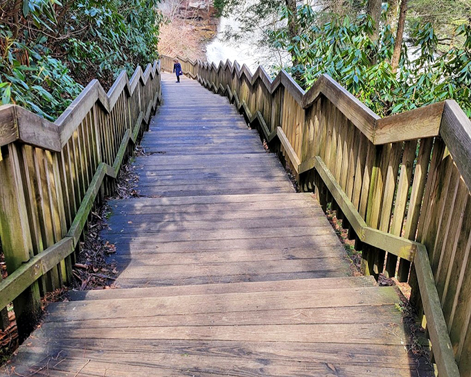 These wooden steps aren't just a path&mdash;they're a portal. Each one brings you closer to the thunderous symphony waiting at the bottom.