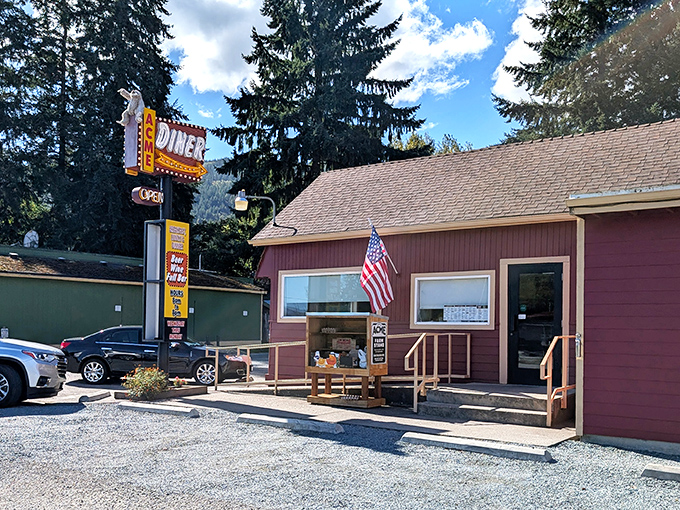 ACME Diner: Yes, it's really called ACME, and no, they don't sell anything to catch roadrunners. Just honest small-town breakfast magic.
