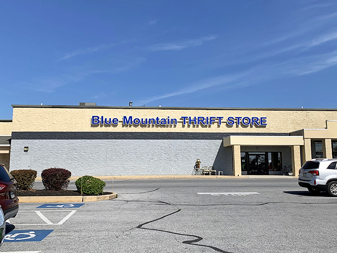 Blue Mountain's humble exterior hides a treasure trove that would make any collector's heart skip.