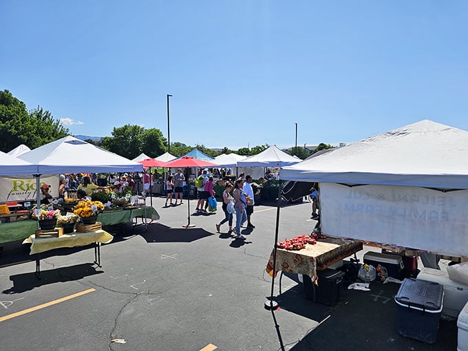 River views and vendor booths create the perfect Saturday morning combination - shopping with a scenic backdrop.