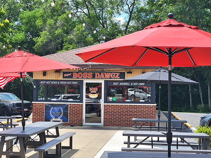 4a. boss dawgz (lisle)