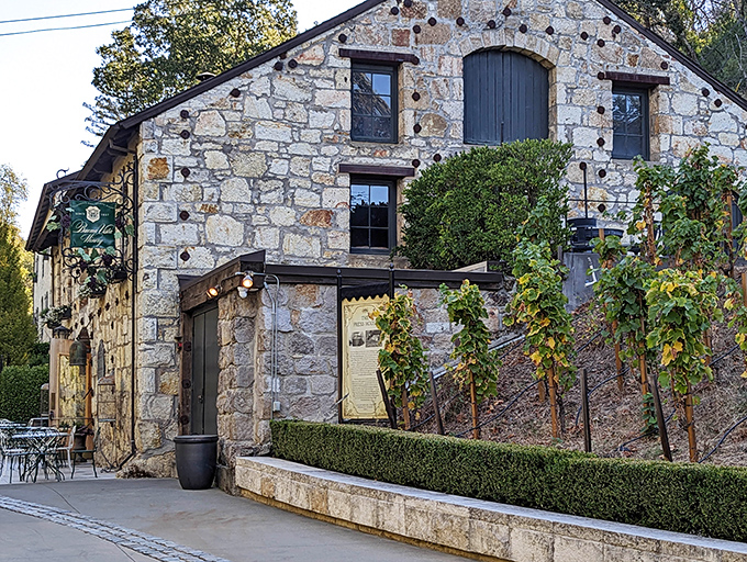 History in stone! Buena Vista's buildings have seen more California wine stories than most of us have had glasses.