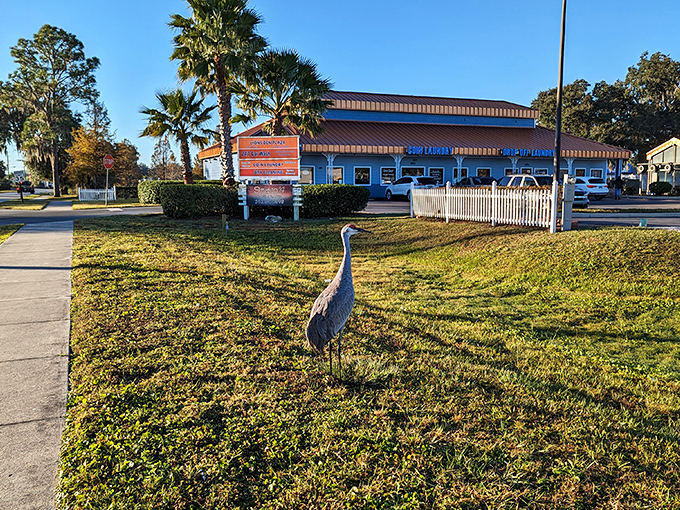 A sandhill crane casually strolls through Bushnell &ndash; even the wildlife knows this is where you can live stress-free on a budget.
