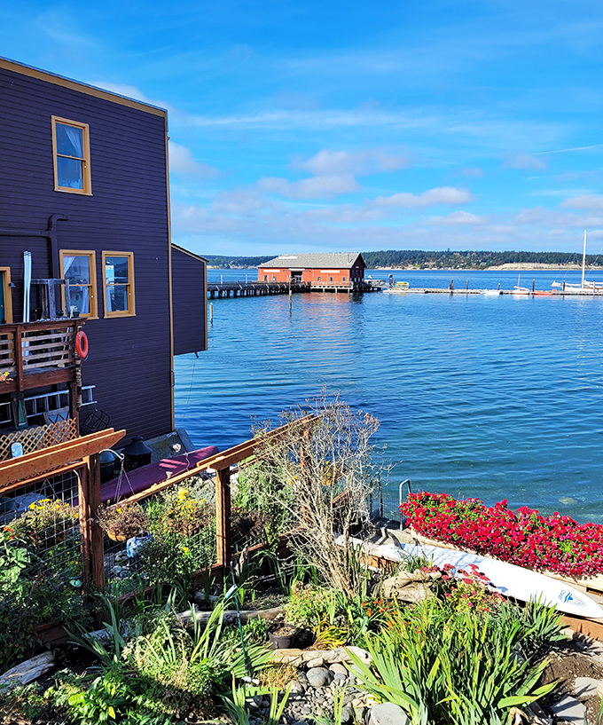 Waterfront living at its finest - where purple houses and harbor views create pure Pacific Northwest magic.