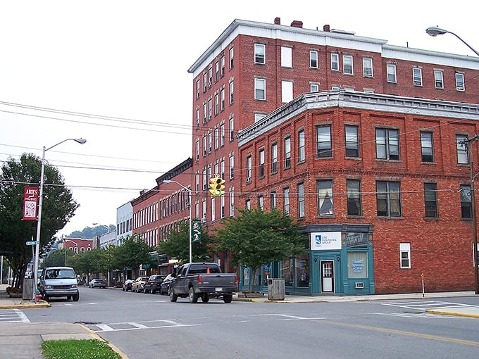 Elkins wraps around you like a warm blanket, where college town energy meets mountain tranquility.