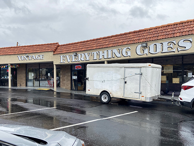 Everything Goes lives up to its name with a storefront that promises eclectic finds beyond your wildest imagination.