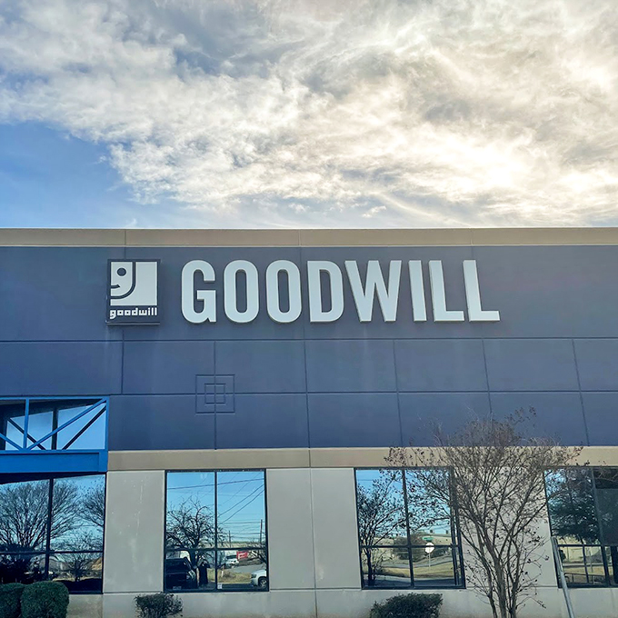 Goodwill's sleek modern exterior belies the glorious chaos of bin-diving that awaits inside. Prepare for thrifting's extreme sport!