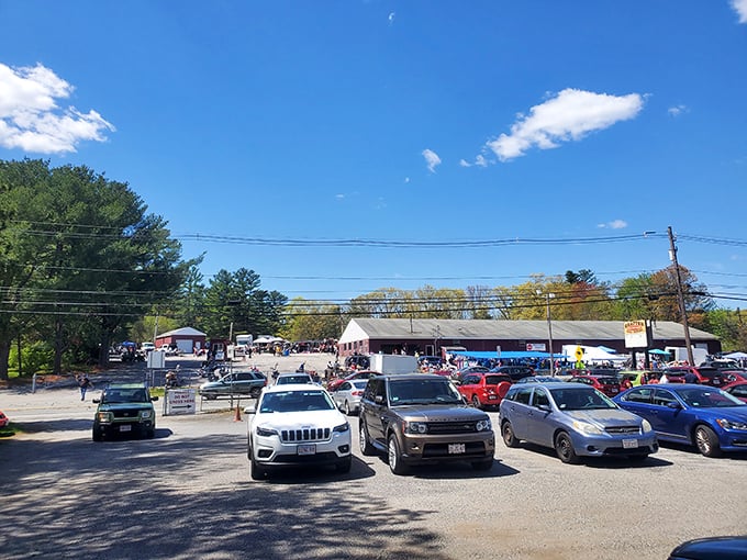 Weekend warriors gather where parking lots buzz with excitement and endless possibilities await inside.