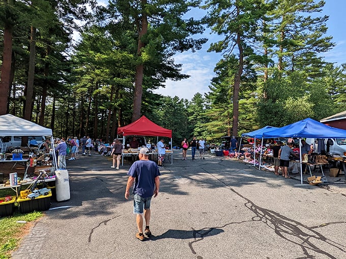 Pine trees and picnic tables create the perfect backdrop for Grafton's sprawling treasure hunt adventure.