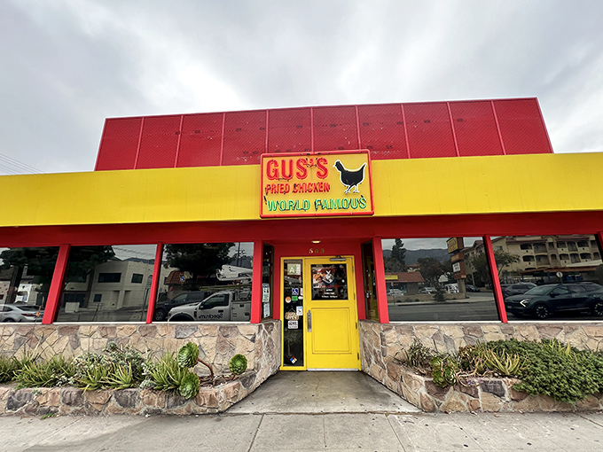 Gus's bold yellow and red exterior is like a sunset &ndash; beautiful to look at, but what's inside is the real showstopper.