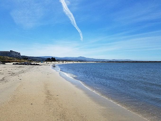 Half Moon Bay's pristine shoreline stretches toward the horizon. The kind of beach that makes you want to quit your job and learn to surf.