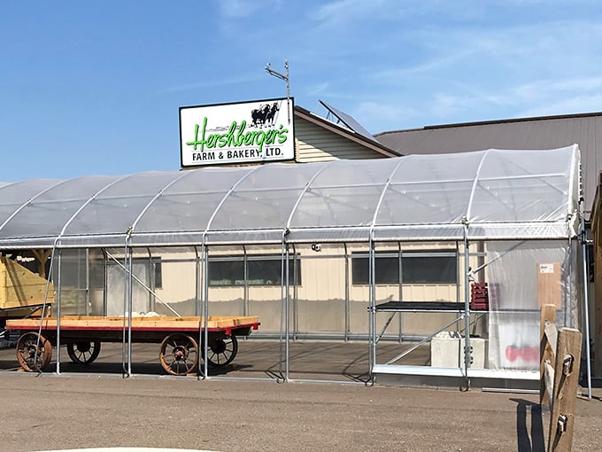 Nothing says "farm fresh" quite like a greenhouse that's bursting with green life year-round.