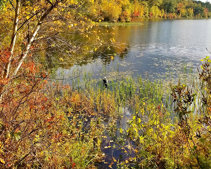 Fall colors at High Point reflect in still waters like nature's own Instagram filter magic.