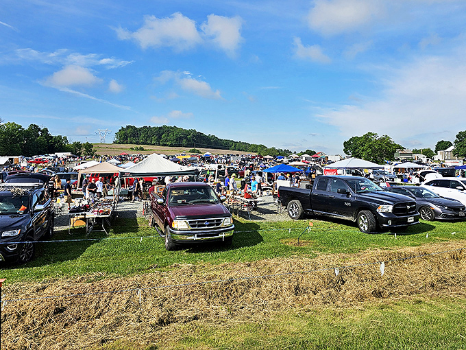 Pastoral shopping perfection! Vendors set up their wares across this grassy field with tents and canopies creating a colorful country marketplace.