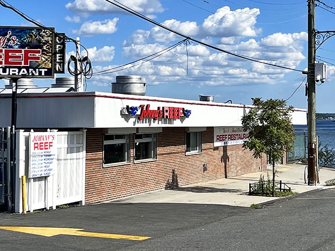 Waterfront dining where the boats provide dinner entertainment and the lobster rolls steal the show completely.
