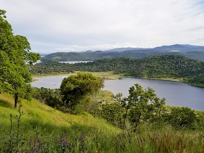 Nature's twin treasures! Lower Lake's rolling hills cradle waters so serene, they'd make Bob Ross add an extra "happy little lake."