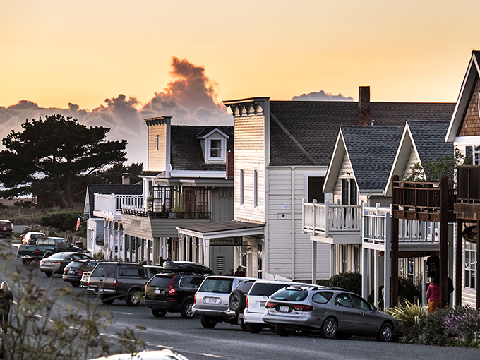 Mist rolls in over Mendocino's shoreline as the day winds down. The kind of view that makes you forget to check your phone for hours.