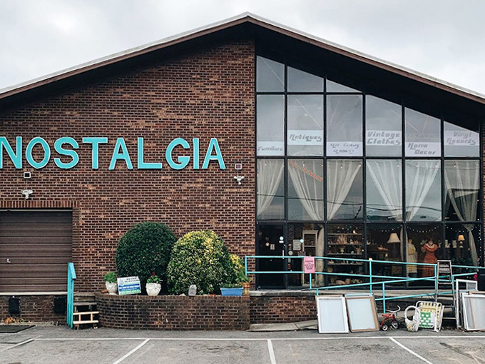 "Nostalgia" spelled out in bold letters tells you exactly what you're getting - pure, concentrated memory lane magic.