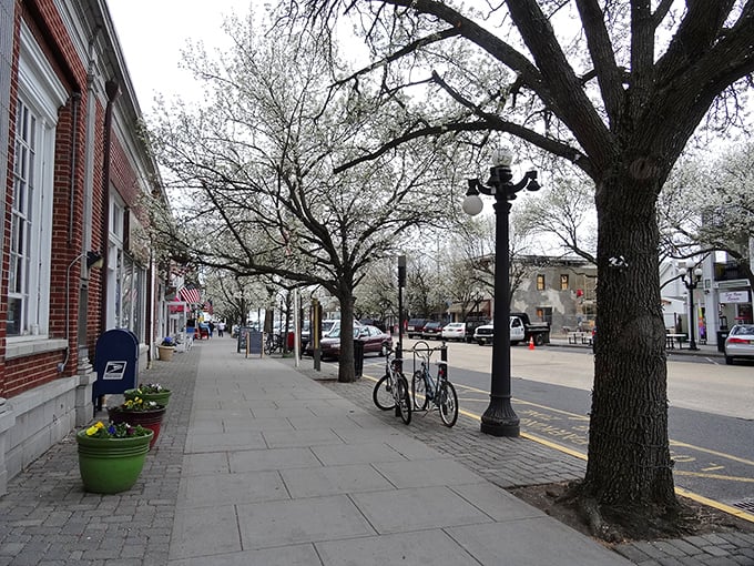 Ocean Grove's tree-lined streets create natural tunnels of tranquility in this historic Methodist retreat town.