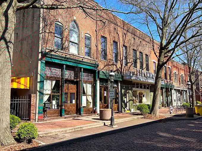 Bright sunshine highlights Paducah&rsquo;s charming brick storefronts and tree-lined streets, inviting visitors to explore local shops and cozy cafes.