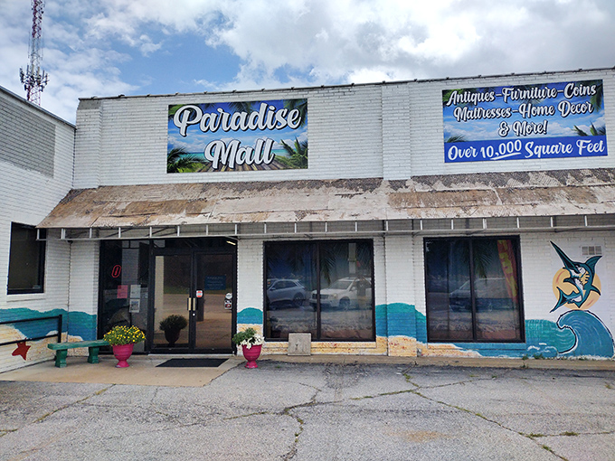 Paradise Mall's colorful exterior promises treasure hunting adventures that would make any bargain hunter's heart skip a beat.