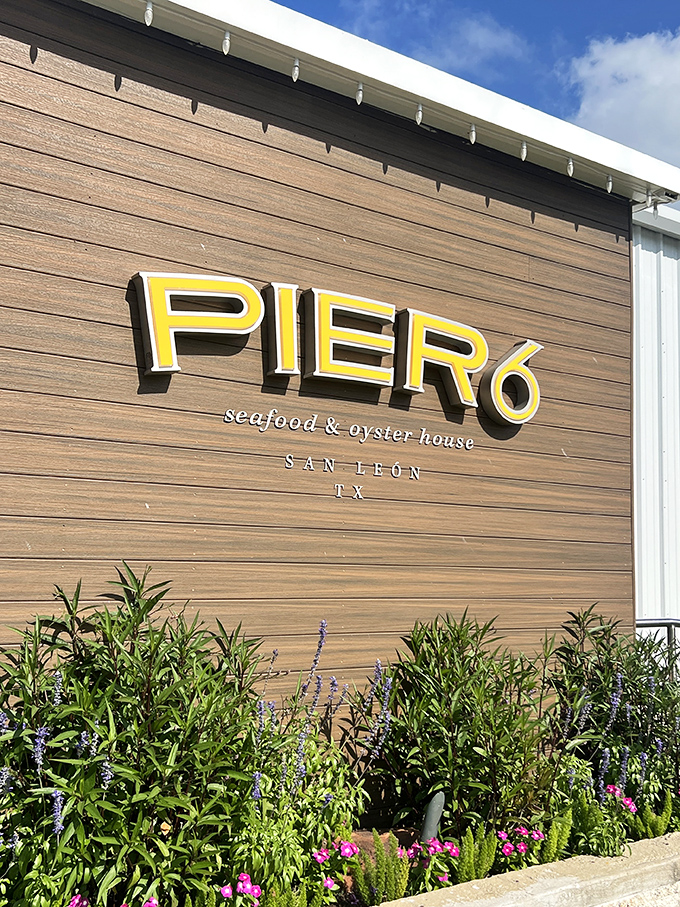 Pier 6's modern wooden fa&ccedil;ade brings upscale vibes to San Leon's seafood scene. Stylish yet unpretentious!