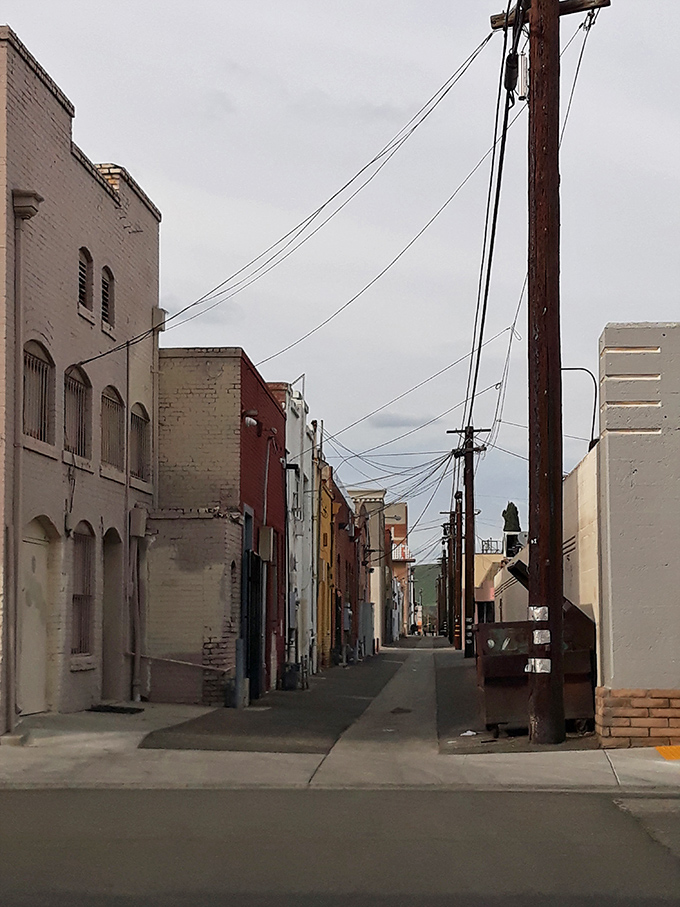 Welcome to Porterville's quiet side streets, where power lines connect neighbors and low costs connect families to dreams.