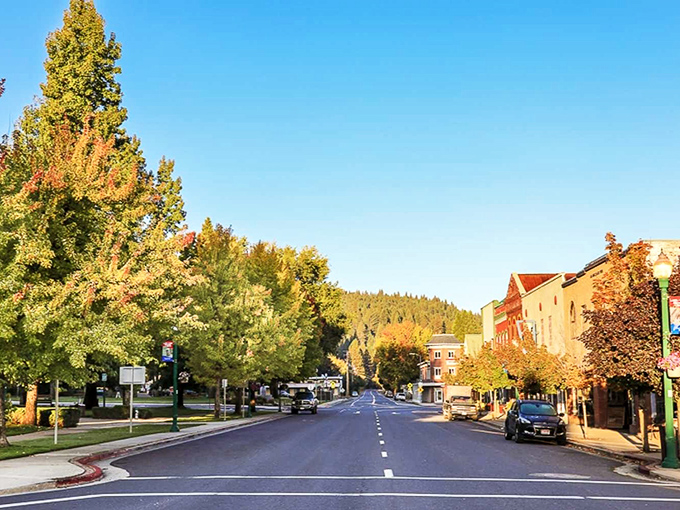 Quincy's mountain main street captures that perfect Sierra Nevada small-town vibe where everyone waves and means it.