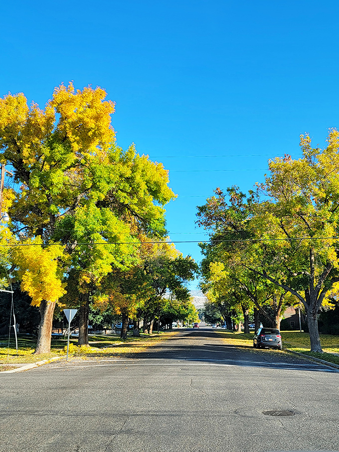Green spaces and gathering spots make retirement feel like a permanent vacation without vacation prices.