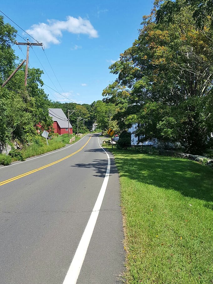Route 146 plays hide-and-seek with charming homes! This sun-drenched country road curves like it's auditioning for a New England tourism commercial.