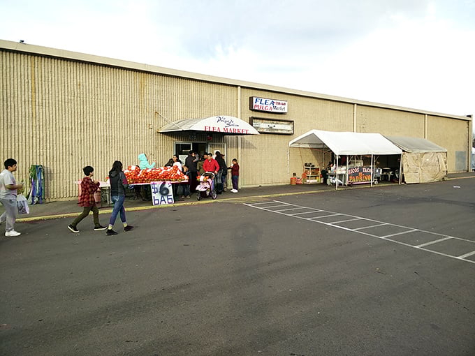 This warehouse holds more surprises than a magician's hat - Salem's treasure trove awaits inside.