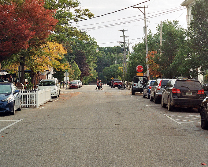 Autumn transforms these residential streets into nature's own confetti celebration, where every fallen leaf seems placed by a master decorator with impeccable timing.