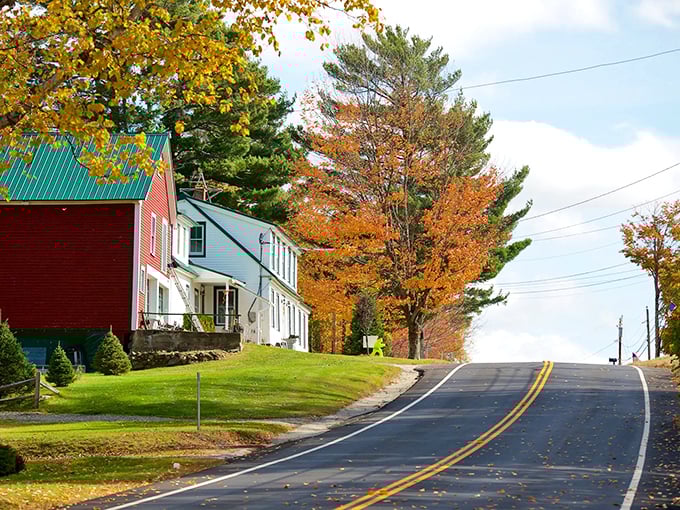 Sugar Hill's winding roads lead through autumn's grand finale, where every turn reveals another reason to pull over.