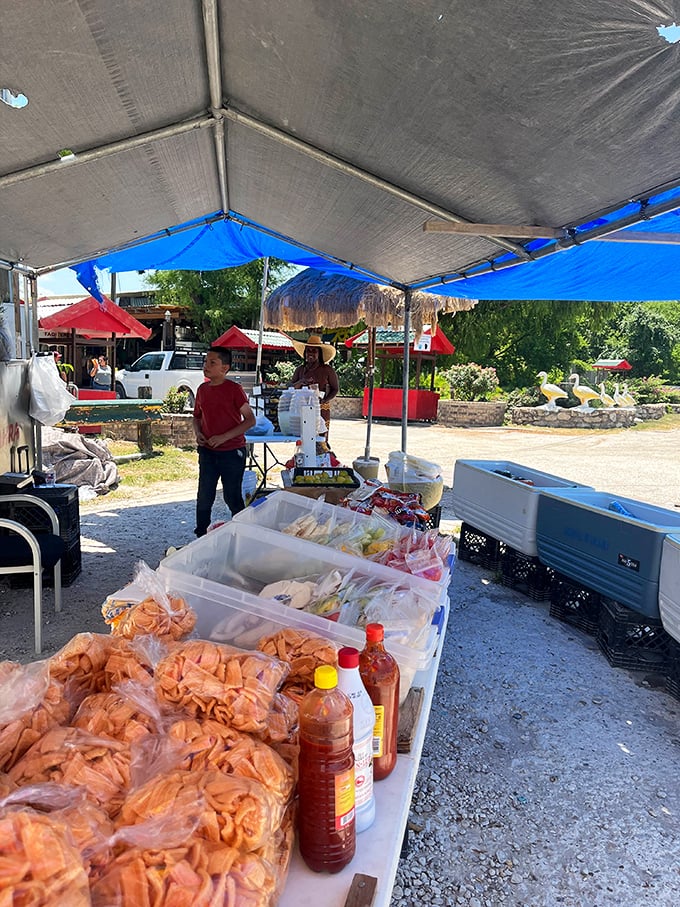 Colorful canopies and fresh snacks create a feast for the senses at this vibrant market stand. Those chips look irresistible!