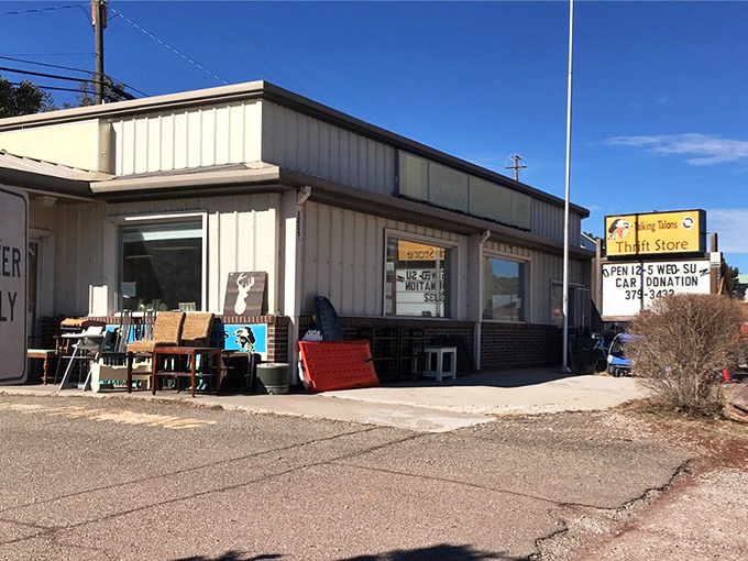 Talking Talons Thrift Store sits unassumingly in the sunshine, a humble building hiding extraordinary bargains that help wildlife education.