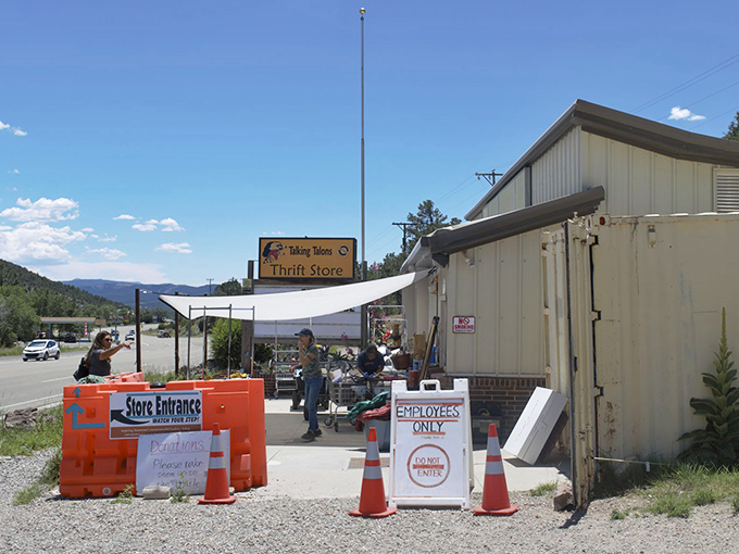 Behind those orange cones lies a wildlife-supporting treasure trove that makes shopping feel virtuous.