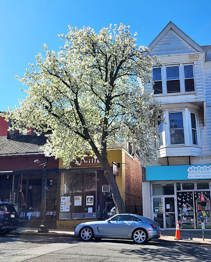 Tarrytown's stately Victorian mansion represents the Hudson Valley's golden age of elegant country estates and wealth.