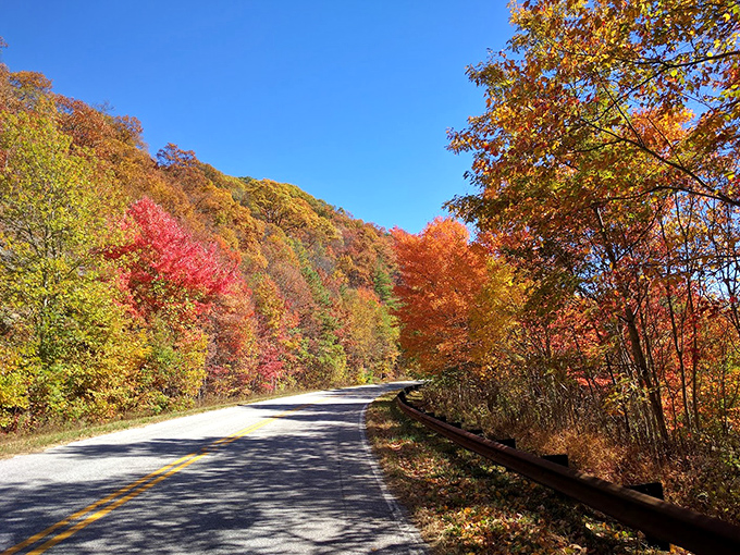 Fall paints the Tellico Plains landscape with a palette that would make any artist jealous. The winding mountain road leads through nature's most spectacular seasonal art show.