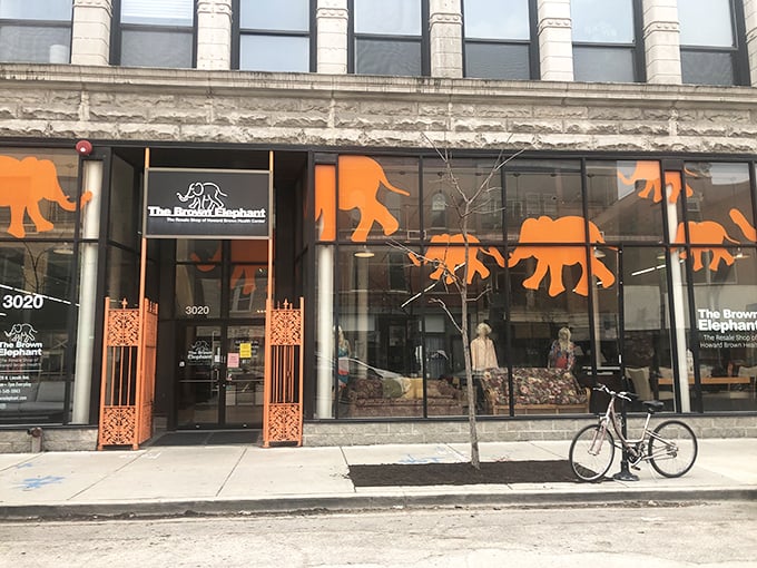 Andersonville's tree-lined streets offer perfect strolling, especially when thrift shopping calls from every corner store. 