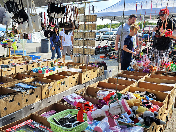Welcome aboard the treasure ship where every entrance promises adventures worthy of any pirate tale.
