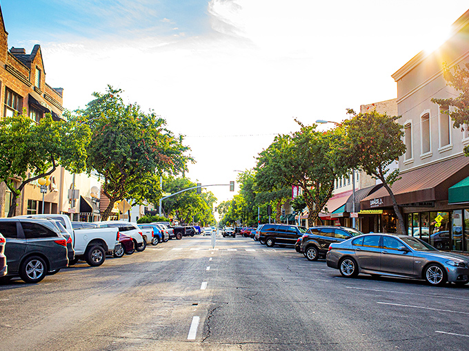 Tree-lined streets make Visalia feel like a small town, even with all the amenities of a larger city. California living without coastal sticker shock!