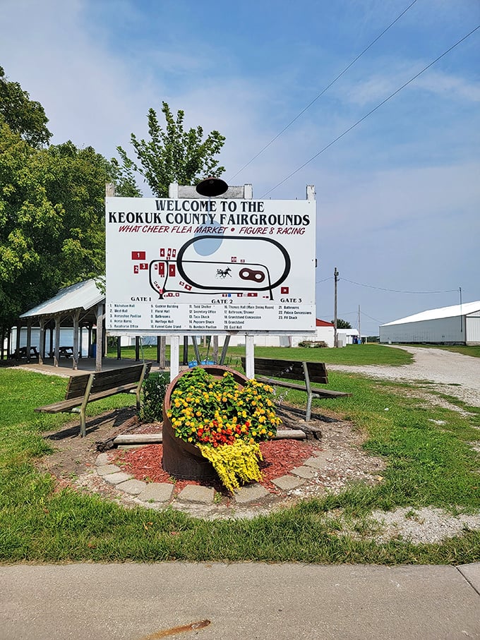 Welcome to treasure hunting central, where the colorful flower display promises equally vibrant finds inside.