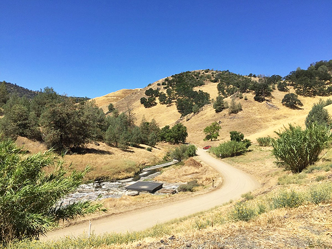 Golden hills that don't require golden retirement accounts! Williams' dirt roads promise affordable adventures.