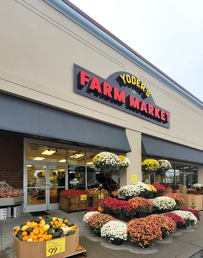 Bright blooms and fresh produce greet visitors at Yoder's Farm Market, where shopping feels more like visiting friendly neighbors.